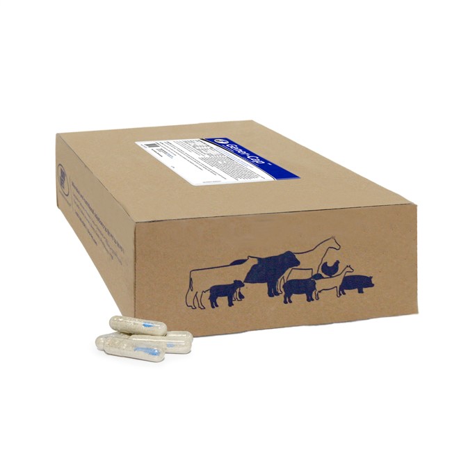 Gener-Cap™ Calf Capsules – Bio-Vet Inc. Online Store