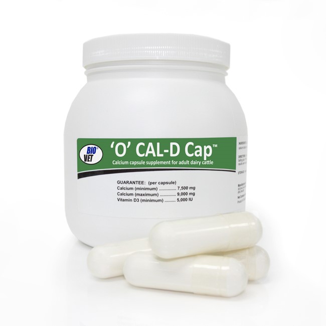 ‘O’ Cal-D™ – Bio-Vet Inc. Online Store