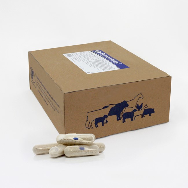 RumenAider® Cattle Capsules – Bio-Vet Inc. Online Store