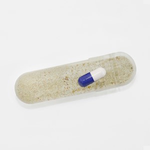 RumenAider® Jr. Calf Capsules – Bio-Vet Inc. Online Store