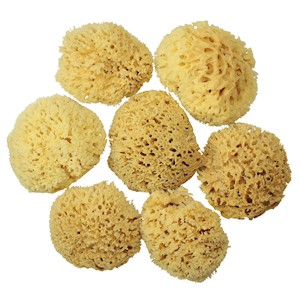 Baby Buddy Natural Bath Sponge Sea Wool