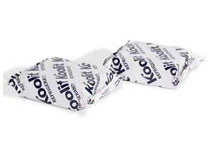 Koolit Foam Brick Gel Packs