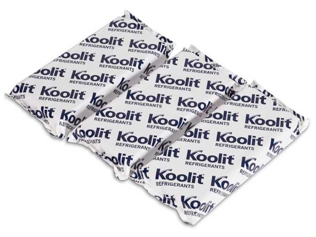 Koolit Foam Brick Gel Packs