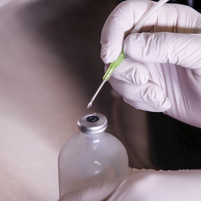 16-Gauge 1.5" Green TwoFer Huber-Tipped Vented Needle – MedSafety ...