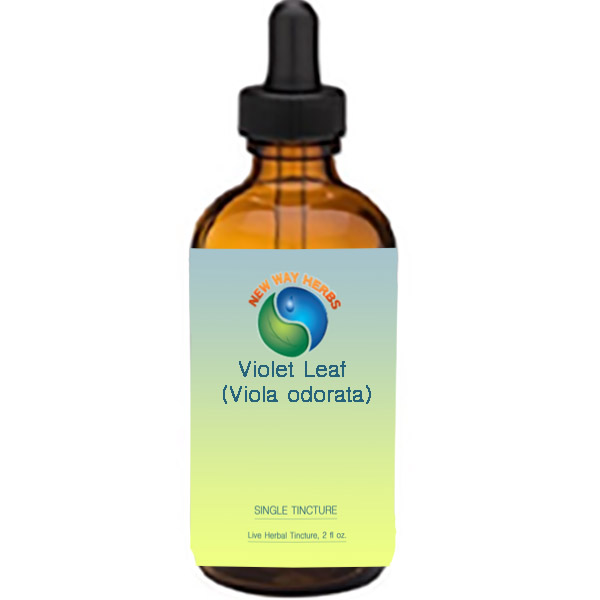 Violet Leaf|Tinctures-Liquid Herbal Extracts & Uses