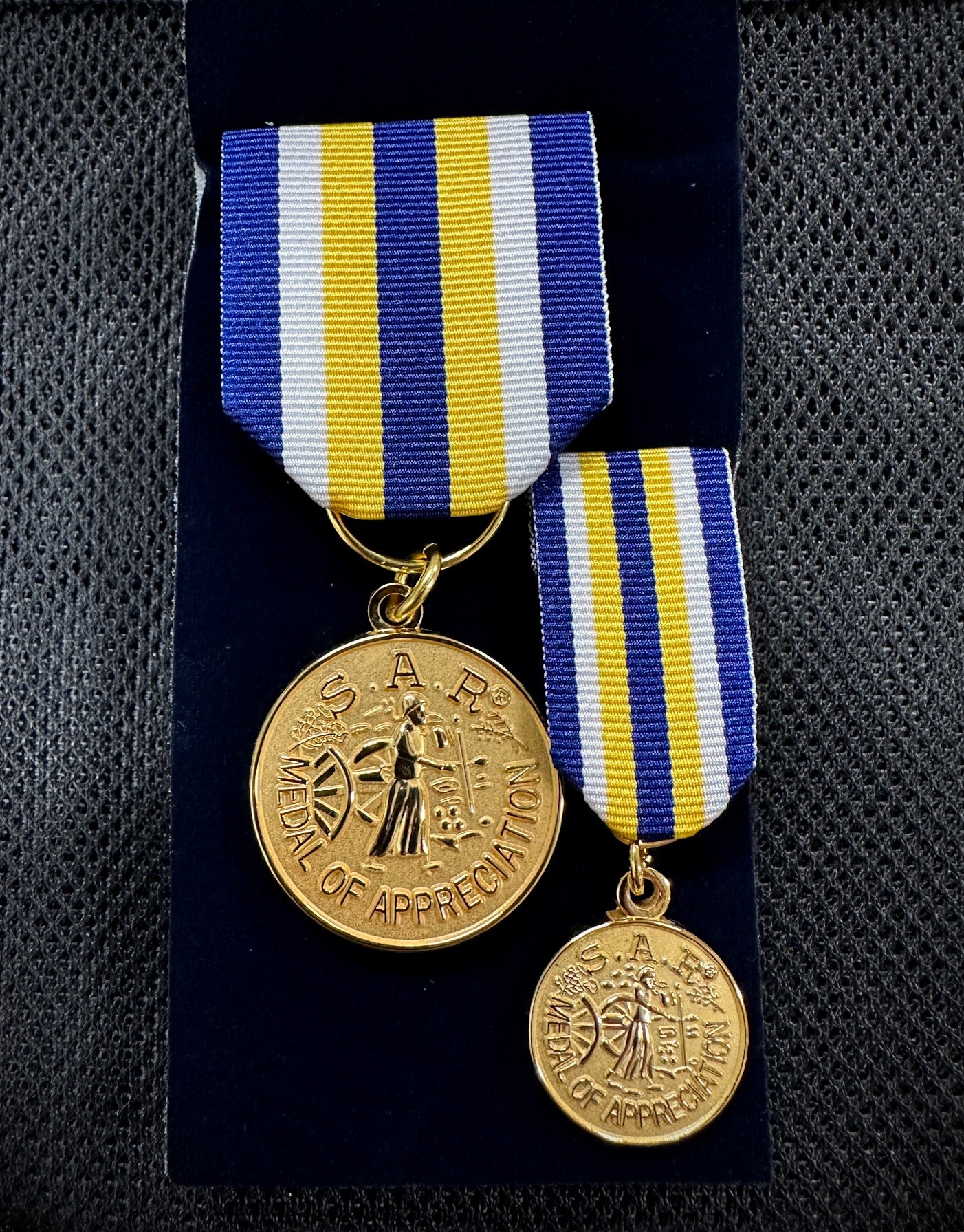 SAR/DAR MEDAL OF APPRECIATION SET – Sons of the American Revolution ...