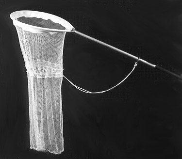 Wildlife Traps, Nets, & Supplies / Animal Nets – TJB-INC Online Store